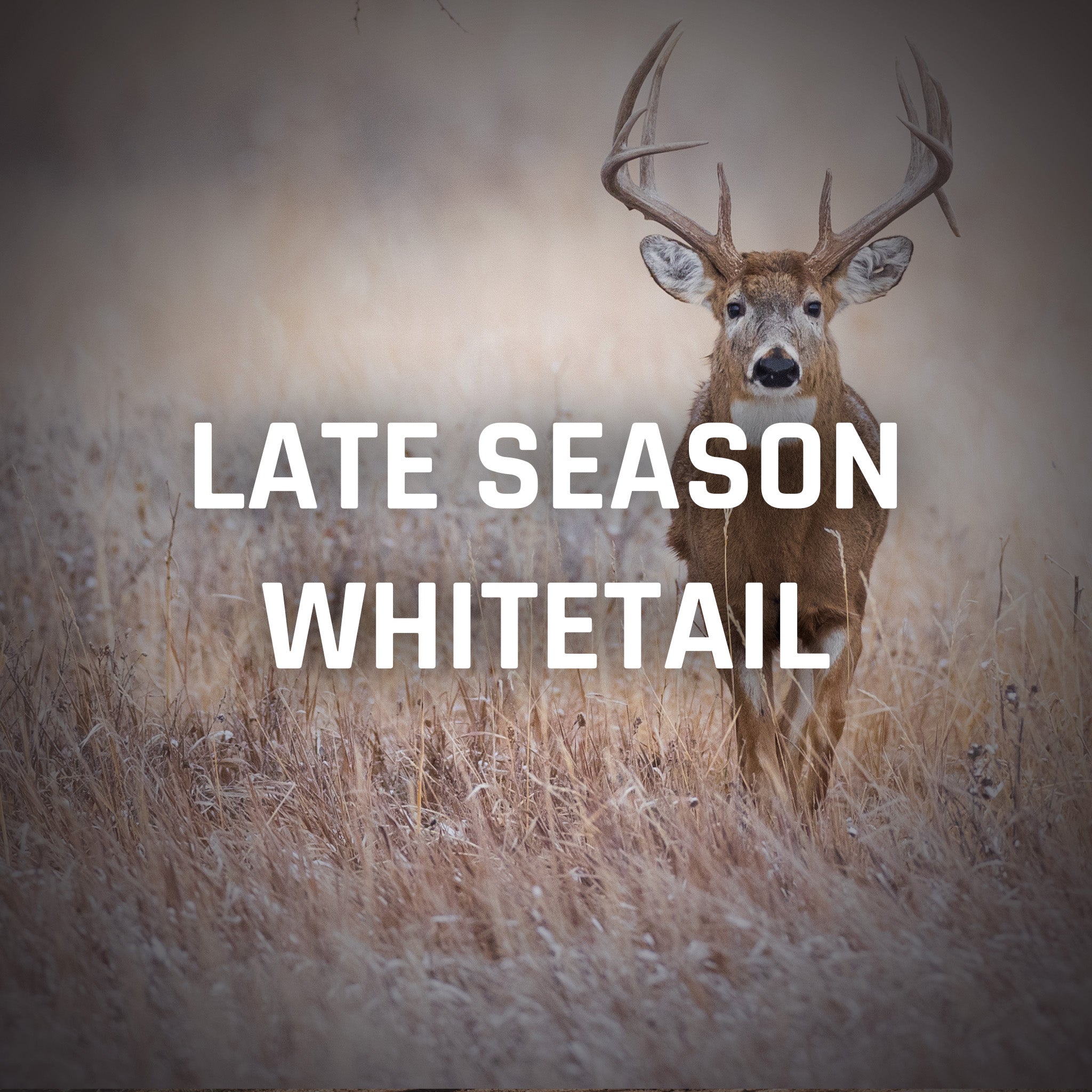 Late Season Whitetail Recommendations – Element Outdoors